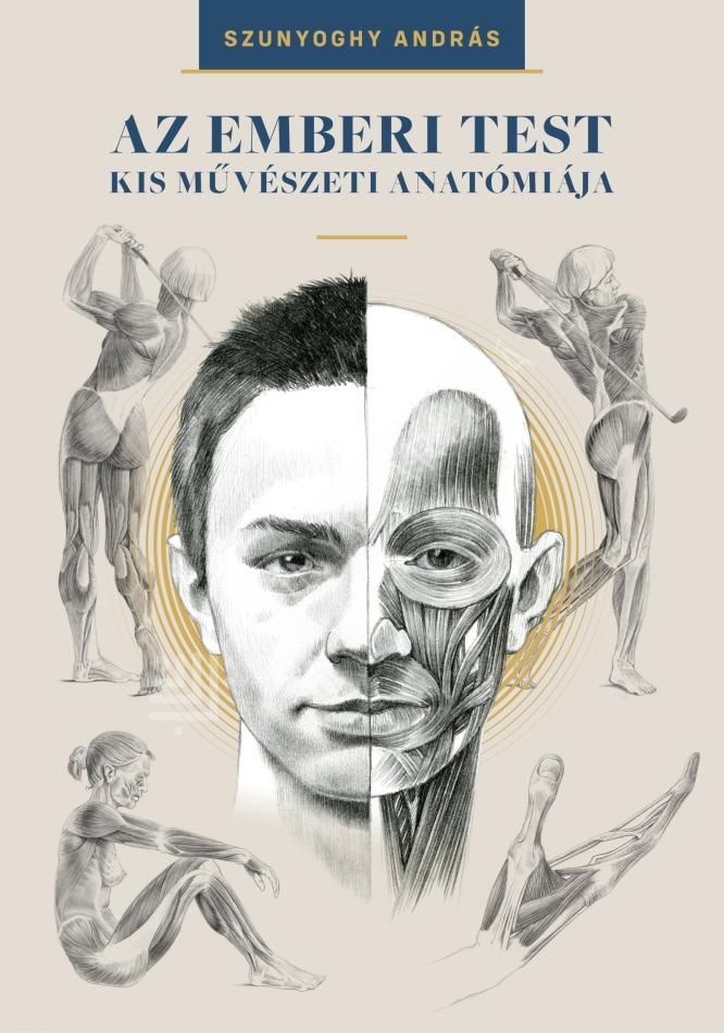 Az emberi test kis művészeti anatómiája-KELLO Online könyvesbolt